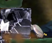 Stony Flint Beetle - Pikipedia, the Pikmin wiki