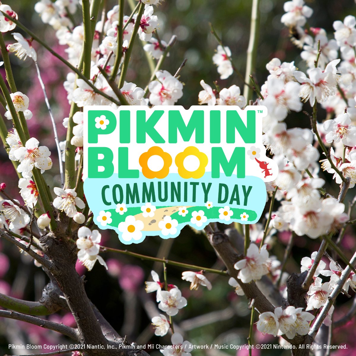 File:February 2023 Community Day Promotional Image.jpg - Pikipedia, the ...