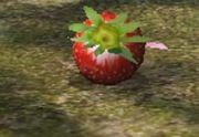 Sunseed Berry - Pikipedia, the Pikmin wiki