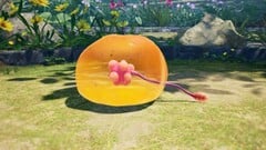 Foolix - Pikipedia, the Pikmin wiki