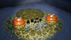 Sticky mold - Pikipedia, the Pikmin wiki