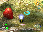 Sunseed Berry - Pikipedia, the Pikmin wiki