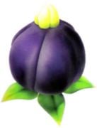 Violet Candypop Bud - Pikipedia, the Pikmin wiki