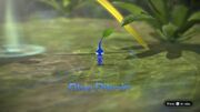 Blue Pikmin - Pikipedia, the Pikmin wiki