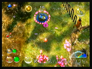 5 day run - Pikipedia, the Pikmin wiki