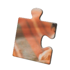 Memory Fragment Series - Pikipedia, the Pikmin wiki