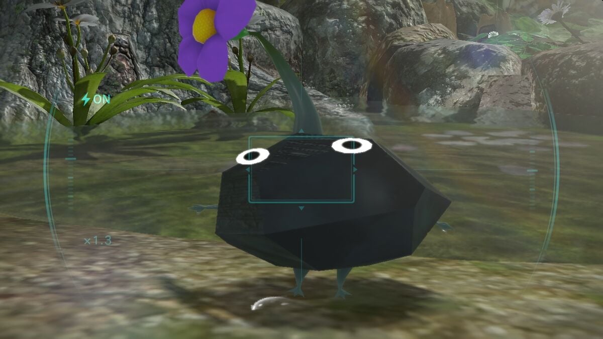 File:P3 Rock Pikmin Drying Off.jpg - Pikipedia, the Pikmin wiki