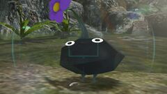 Rock Pikmin - Pikipedia, the Pikmin wiki