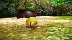 Swarming Sheargrub - Pikipedia, the Pikmin wiki