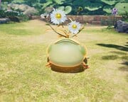 Creeping Chrysanthemum - Pikipedia, the Pikmin wiki