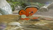 Red Spectralids - Pikipedia, the Pikmin wiki