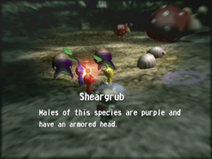 Male Sheargrub - Pikipedia, the Pikmin wiki