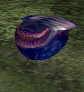 Water Dumple - Pikipedia, the Pikmin wiki