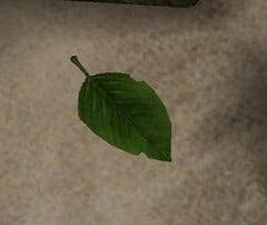 Skitter Leaf - Pikipedia, the Pikmin wiki