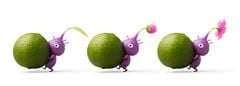 Purple Pikmin - Pikipedia, the Pikmin wiki
