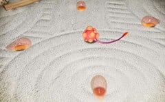 Foolix - Pikipedia, the Pikmin wiki