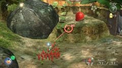 Sunseed Berry - Pikipedia, the Pikmin wiki