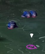 Water Dumple - Pikipedia, the Pikmin wiki