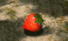 Sunseed Berry - Pikipedia, the Pikmin wiki