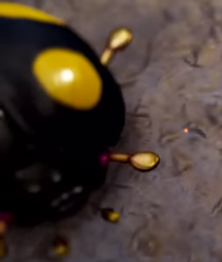 Anode Beetle - Pikipedia, the Pikmin wiki