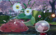 Creeping Chrysanthemum - Pikipedia, the Pikmin wiki