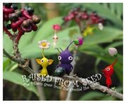 Pikmin family - Pikipedia, the Pikmin wiki
