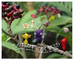 Pikmin family - Pikipedia, the Pikmin wiki