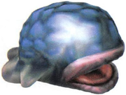 Water Dumple - Pikipedia, the Pikmin wiki