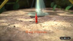 Red Pikmin - Pikipedia, the Pikmin wiki