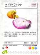 Toady Bloyster - Pikipedia, the Pikmin wiki