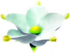 Ivory Candypop Bud - Pikipedia, the Pikmin wiki