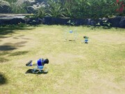 Iceblown Dweevil - Pikipedia, the Pikmin wiki