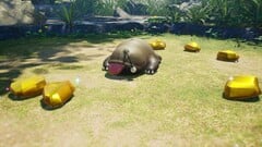 Gildemander - Pikipedia, the Pikmin wiki