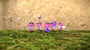Winged Pikmin - Pikipedia, the Pikmin wiki