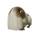 Rescue Journal - Pikipedia, the Pikmin wiki