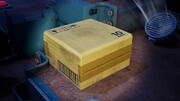 Cardboard box - Pikipedia, the Pikmin wiki