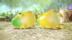 Category:Yellow Wollyhop images - Pikipedia, the Pikmin wiki
