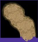 Explorer's Cave - Pikipedia, the Pikmin wiki