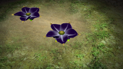 Violet Candypop Bud - Pikipedia, the Pikmin wiki