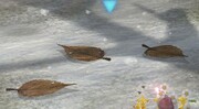 Desiccated Skitter Leaf - Pikipedia, the Pikmin wiki