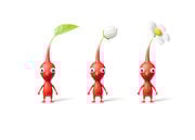 Red Pikmin - Pikipedia, the Pikmin wiki