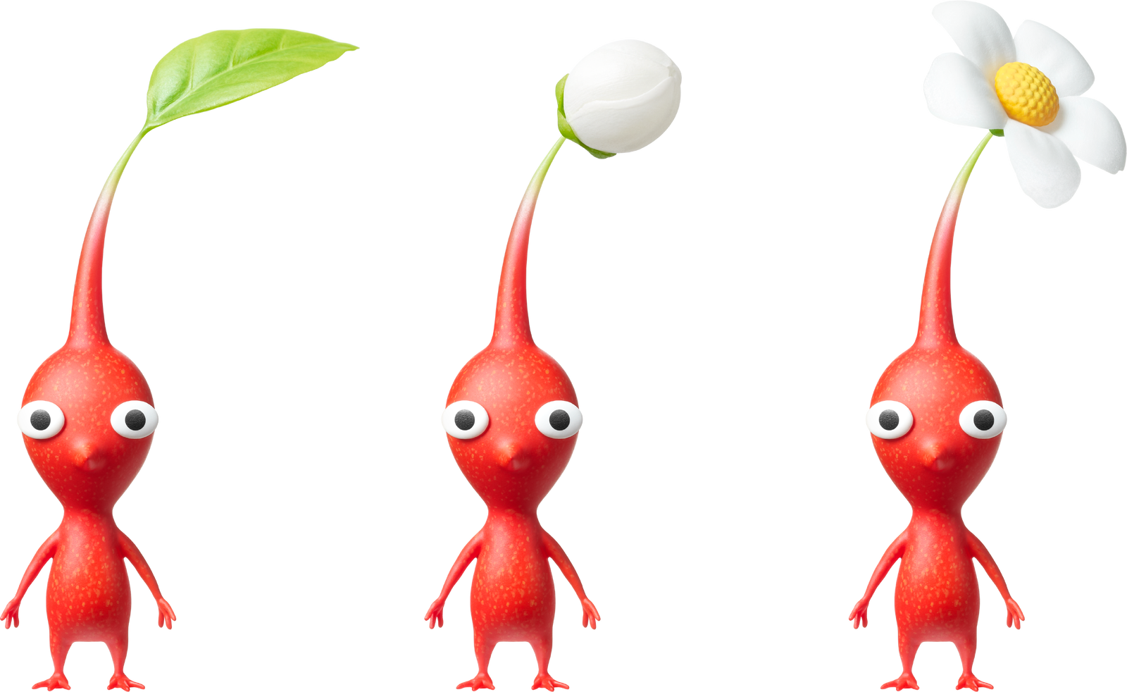 File:Red Pikmin all types.png - Pikipedia, the Pikmin wiki