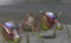 Antenna Beetle - Pikipedia, the Pikmin wiki