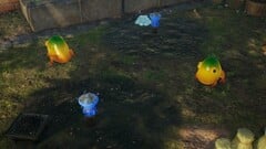 Masterhop - Pikipedia, the Pikmin wiki