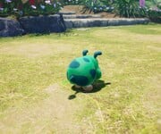 Moss - Pikipedia, the Pikmin wiki