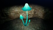 Common Glowcap - Pikipedia, the Pikmin wiki