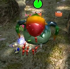 Creeping Chrysanthemum - Pikipedia, the Pikmin wiki