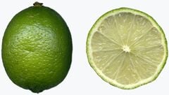 Zest Bomb - Pikipedia, the Pikmin wiki