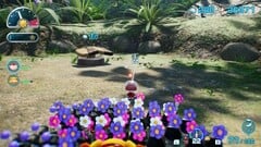 Clay - Pikipedia, the Pikmin wiki