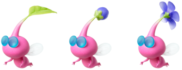 Pikmin family - Pikipedia, the Pikmin wiki